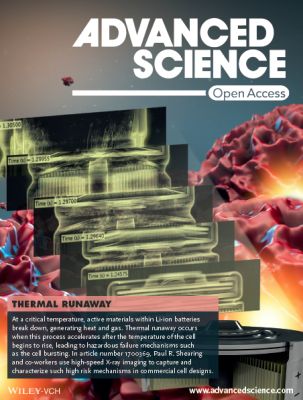 Alexander Rack - Publications